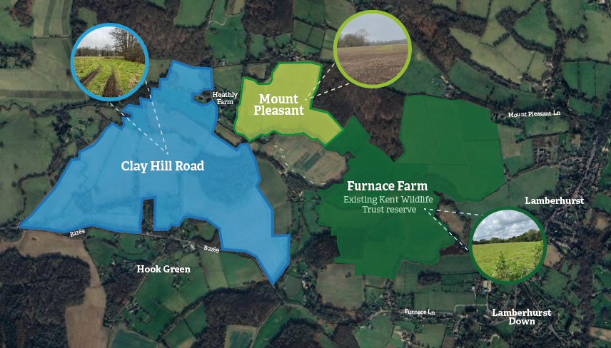Hoathly Farm Appeal | Kent Wildlife Trust