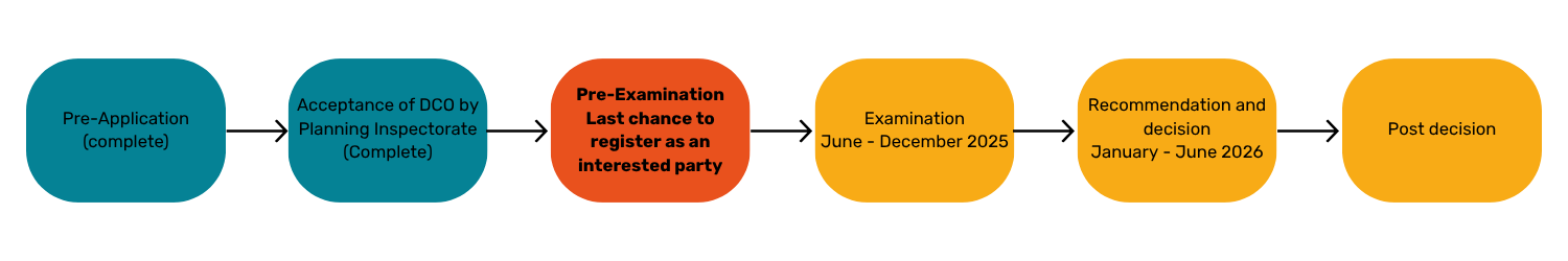 Rethink Sea Link | Kent Wildlife Trust
