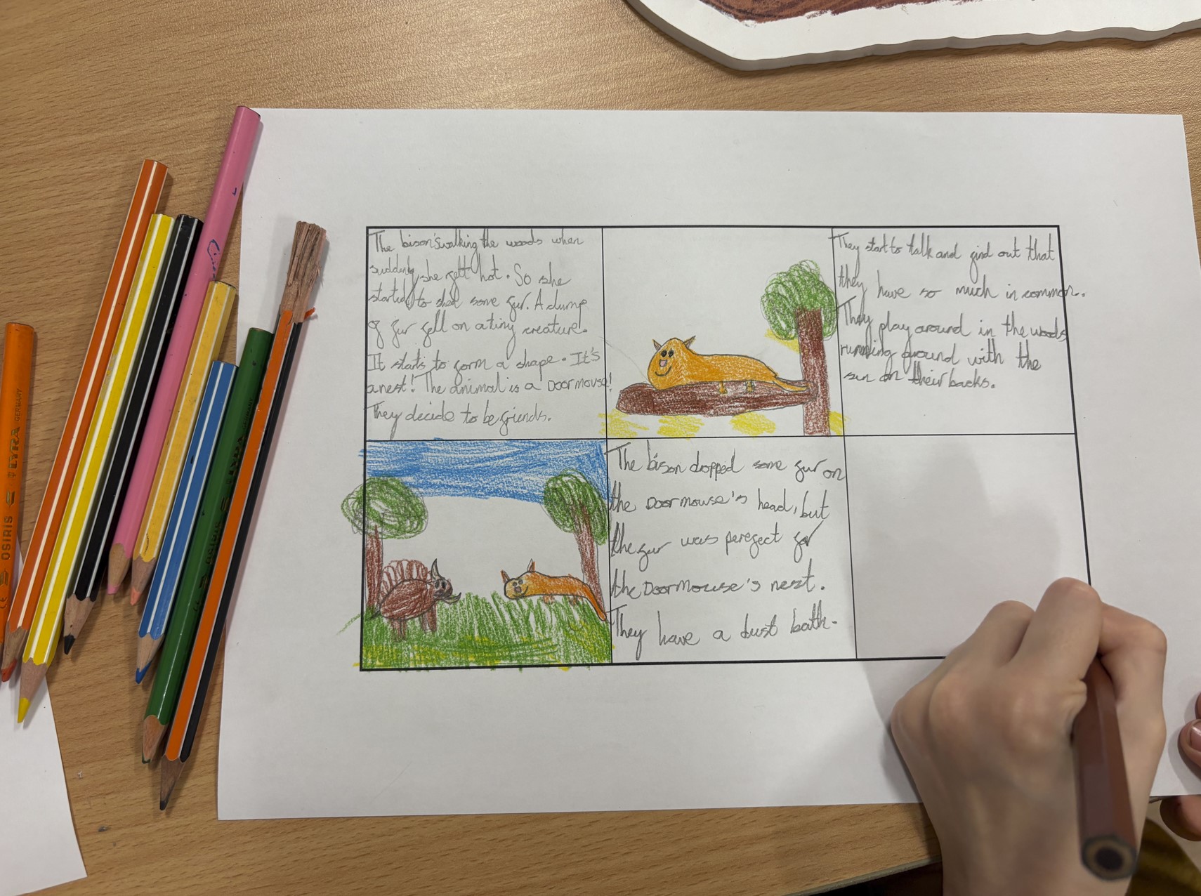 Wilder Schools - NHLF Bison Bridges project | Kent Wildlife Trust