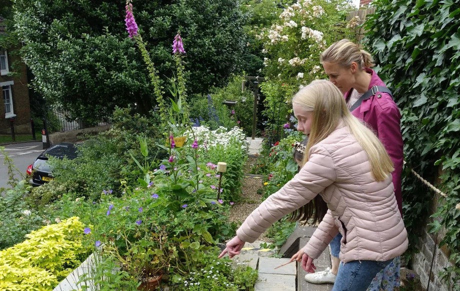 Rewild your school this spring | Kent Wildlife Trust