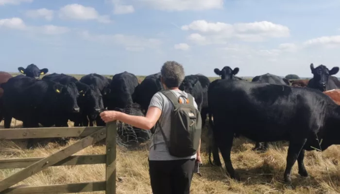Volunteer spotlight: Lisa Hoey | Kent Wildlife Trust