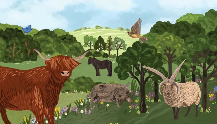 Nature’s grazers need your help: Kent Wildlife Trust launches appeal to ...