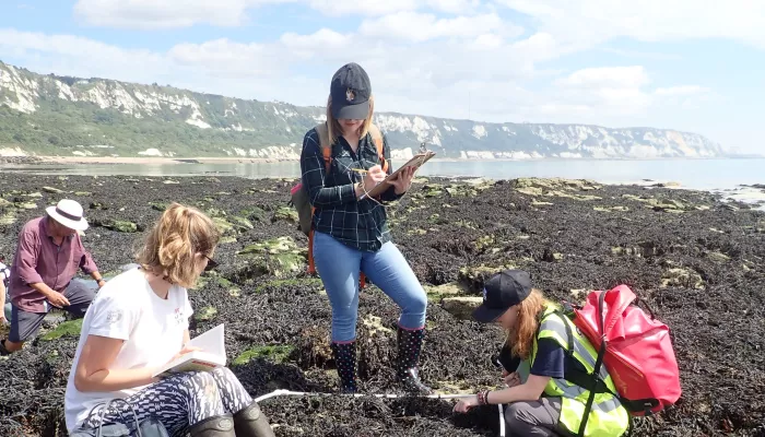 Shoresearch | Kent Wildlife Trust