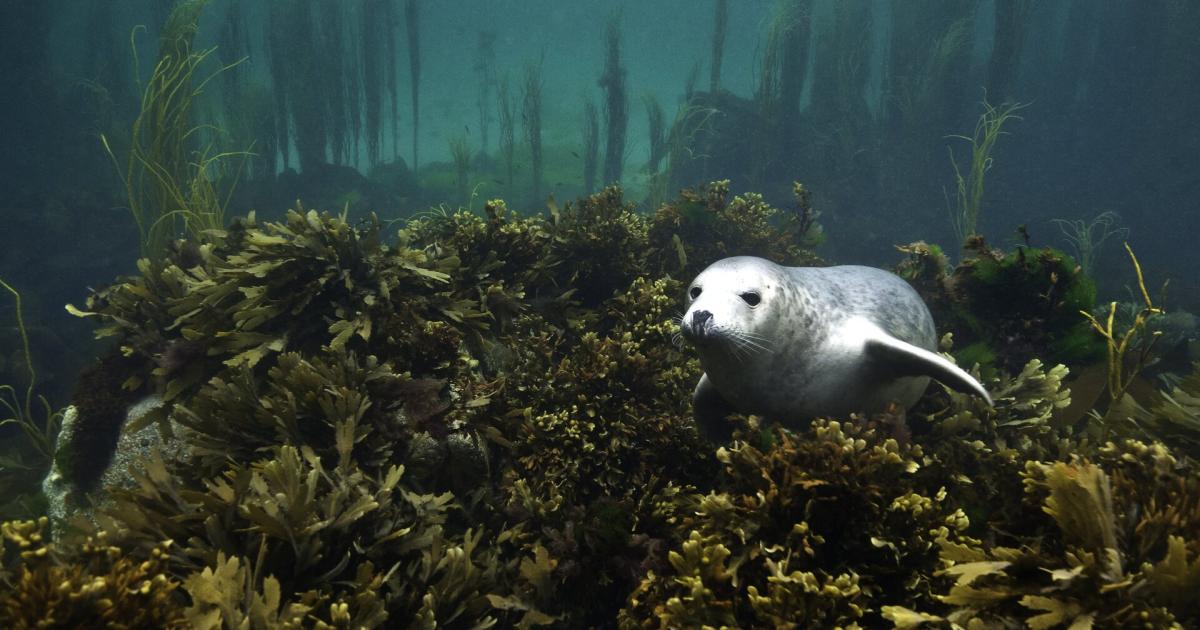 Change and our coast: a personal reflection on National Marine Week ...