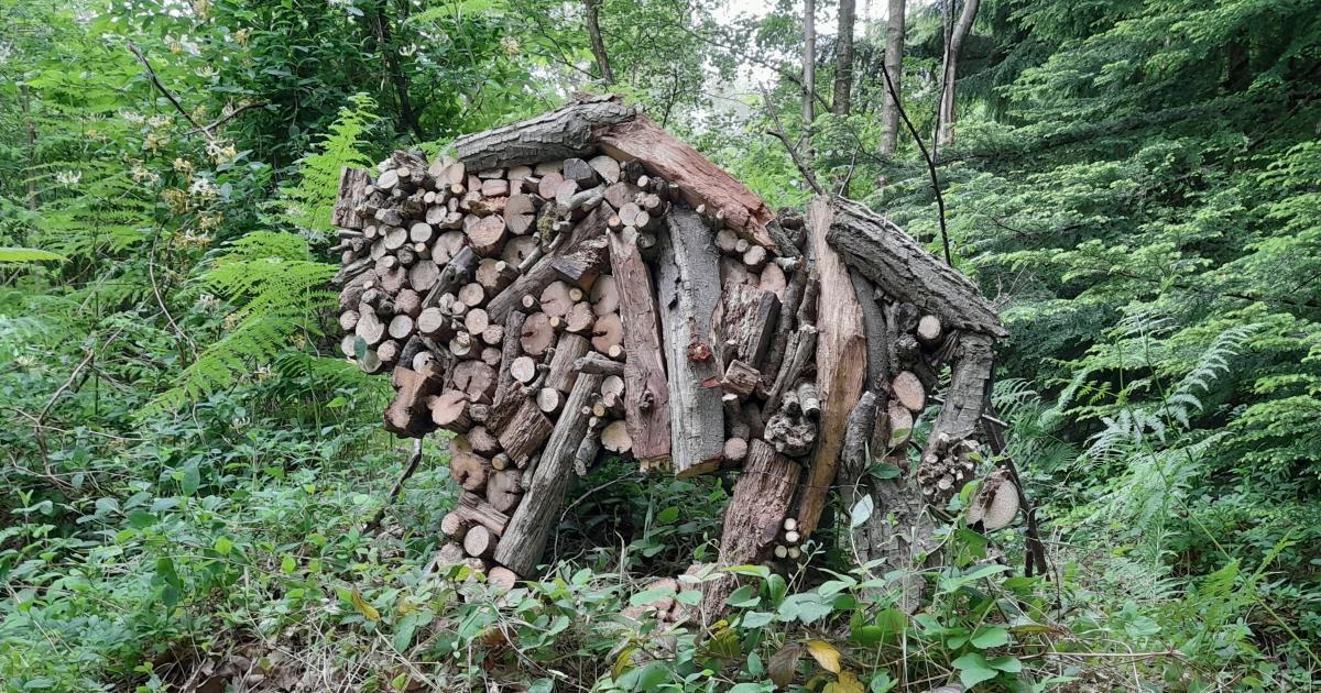 Local artists celebrate a Wilder Blean with bison-inspired sculptures ...