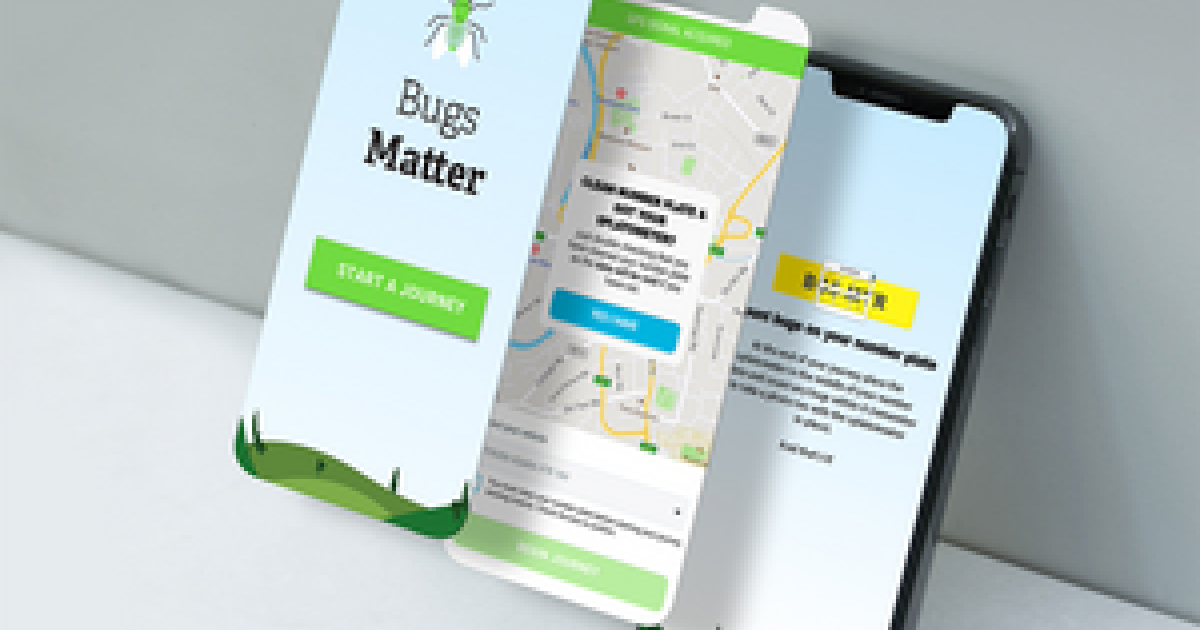 New bug splatter app to reveal more about insect populations | Kent ...