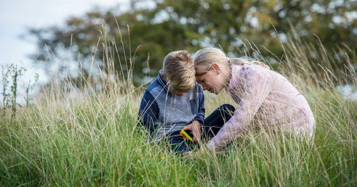 Family Events | Kent Wildlife Trust