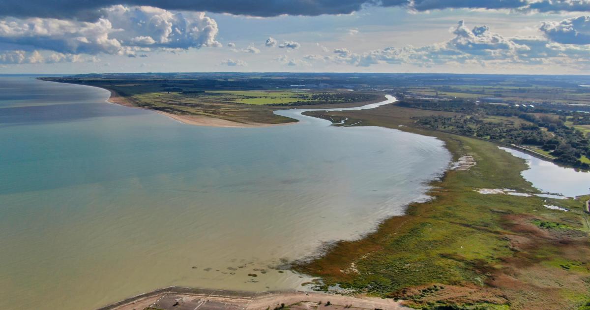 What are salt marshes & why are they important? | Kent Wildlife Trust