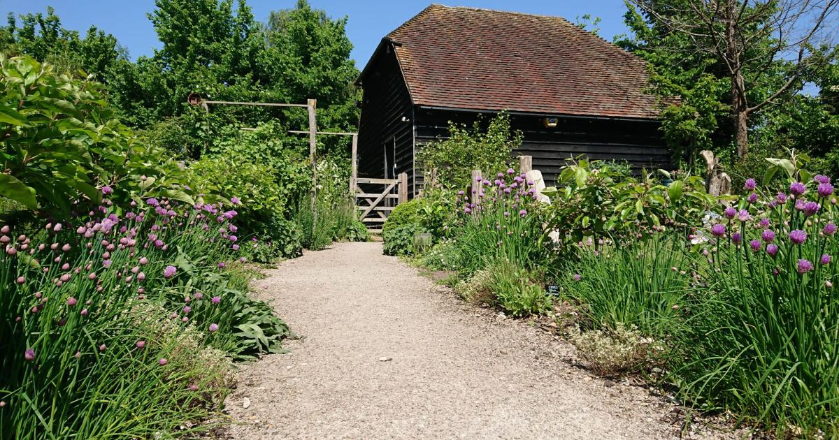 Tyland Barn Open Garden | Kent Wildlife Trust