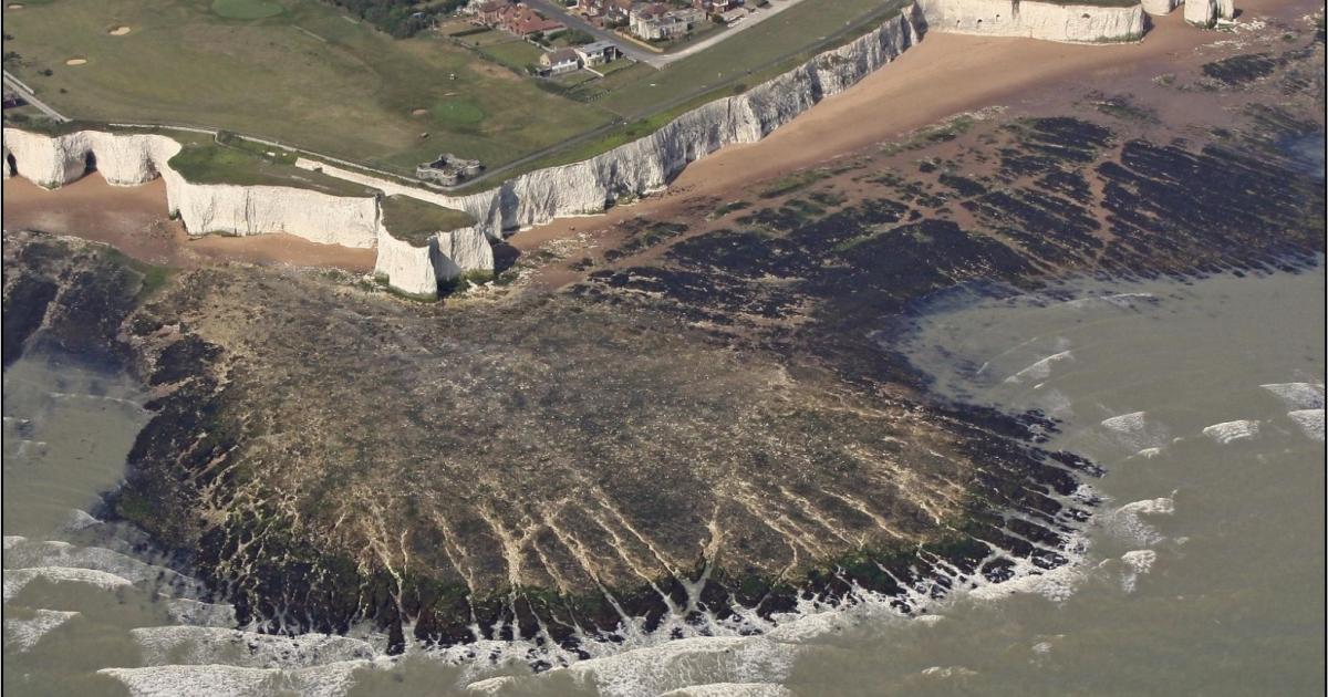 National Marine Week: The North East Kent Marine Protected Area | Kent ...