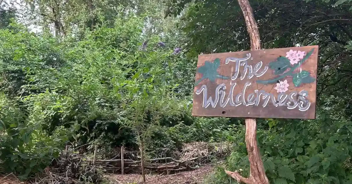Into the Wilderness: A garden wilding experiment in Kent | Kent ...