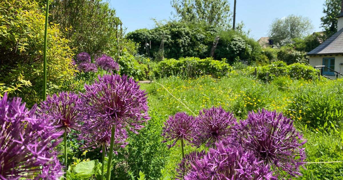Tyland Barn Nature Park & Gardens | Kent Wildlife Trust