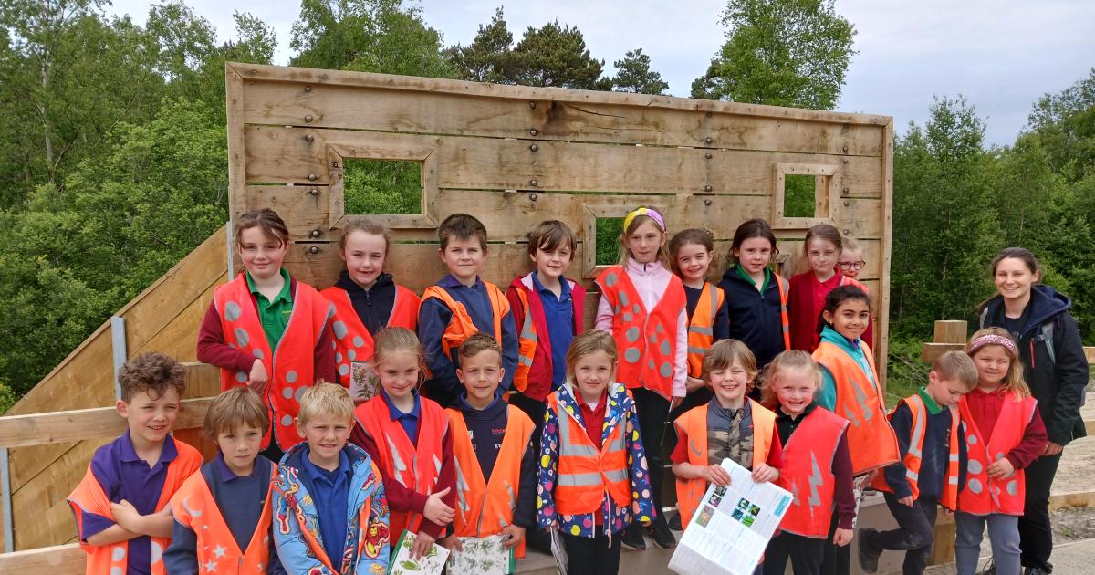 Wilder Schools - NHLF Bison Bridges project | Kent Wildlife Trust