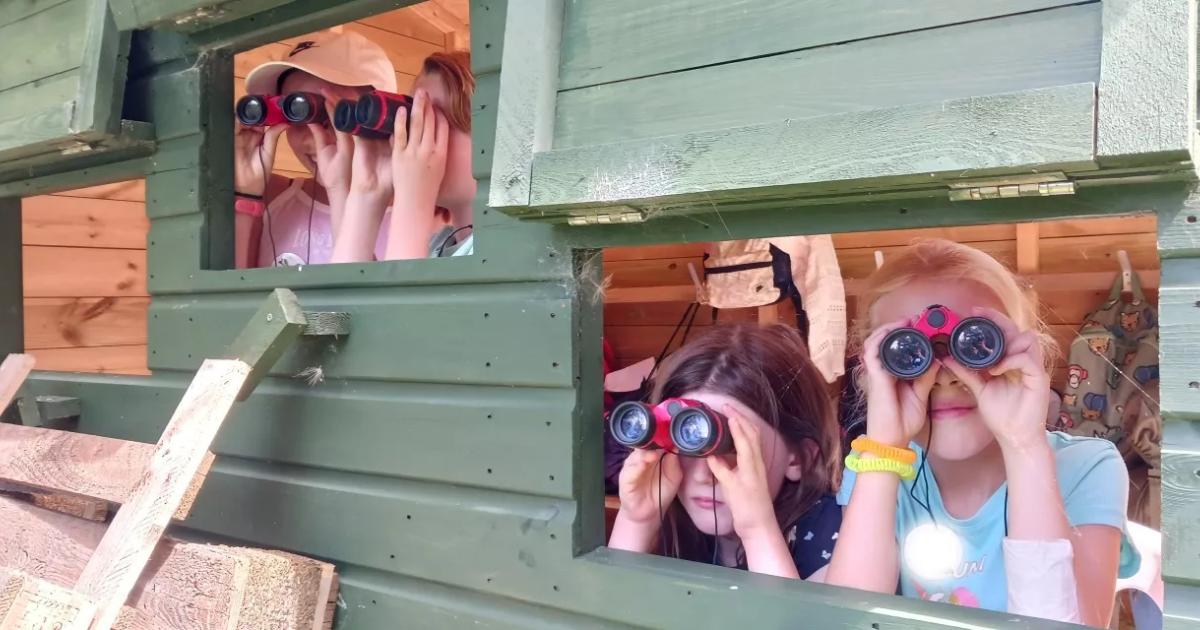 Family Event: Winter Birds at Tyland Barn | Kent Wildlife Trust