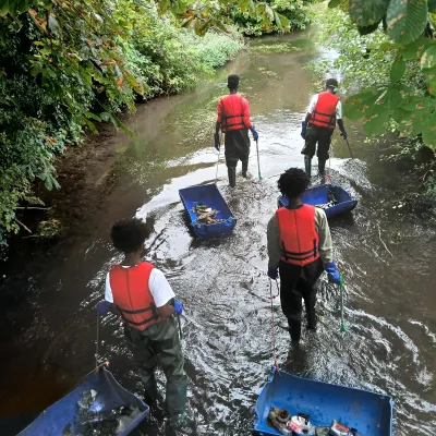 Blue Influencers Scheme - KRAN (Kent Refugee Action Network) | Kent ...