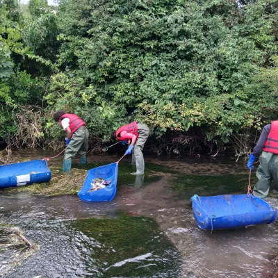 Blue Influencers Scheme - KRAN (Kent Refugee Action Network) | Kent ...