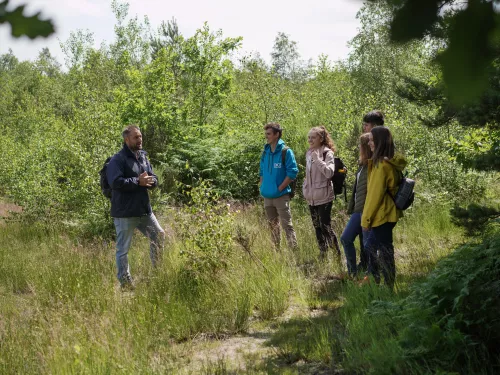 Wilder Blean Project | Kent Wildlife Trust