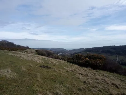 Farmer Hub | Kent Wildlife Trust