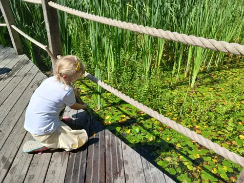 Tyland Barn Nature Park & Gardens | Kent Wildlife Trust