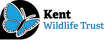 Birds | Kent Wildlife Trust