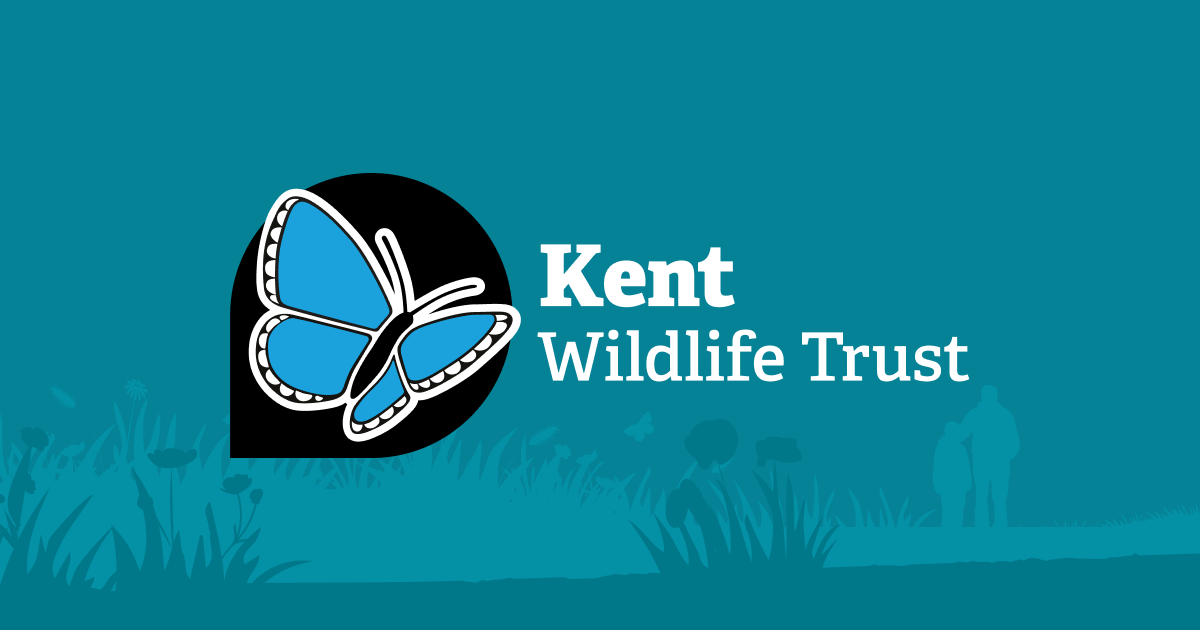 Walk | Kent Wildlife Trust